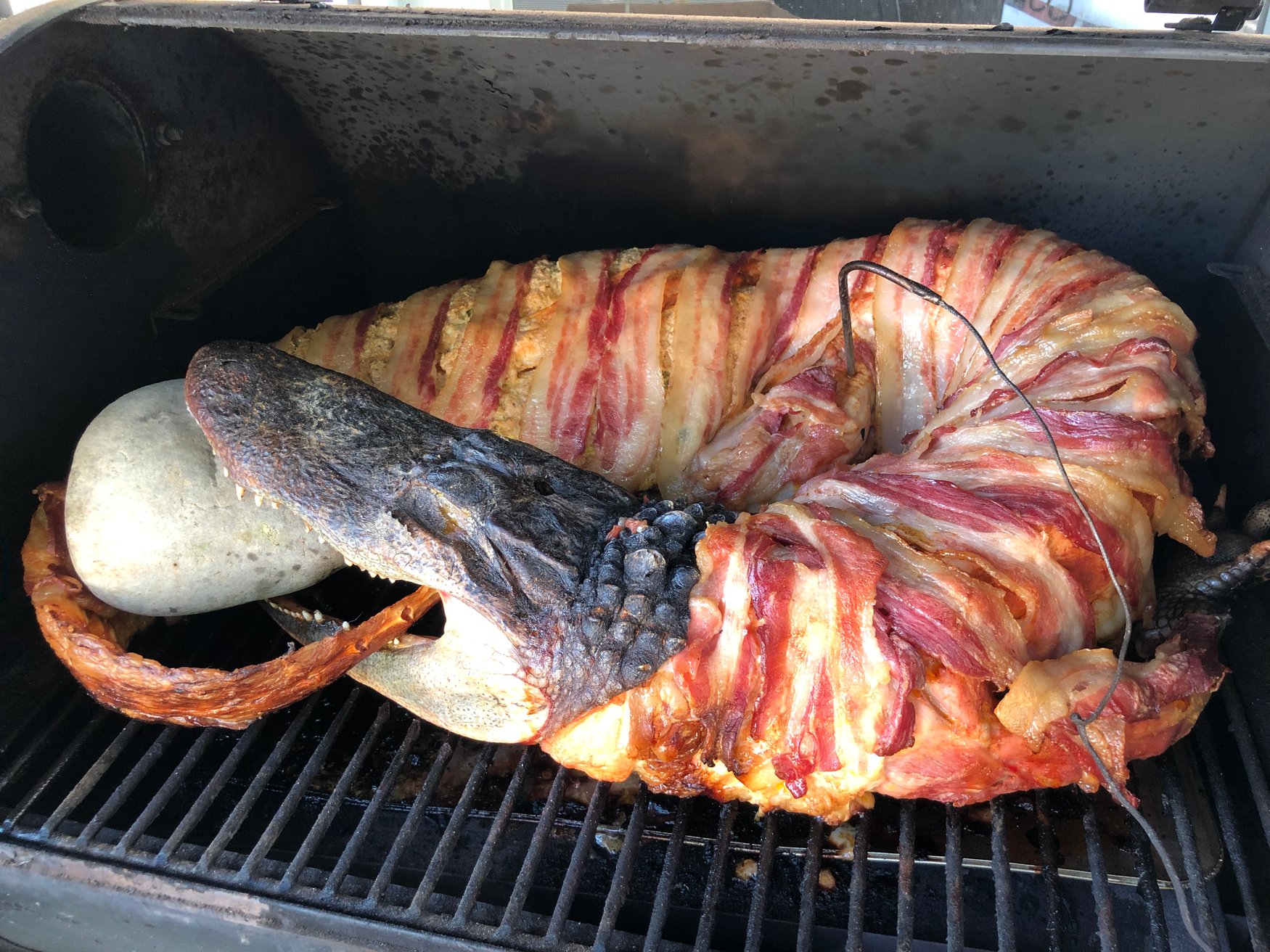 Bacon-wrapped Gator on the Traeger Pellet Grill - Chris Calvey